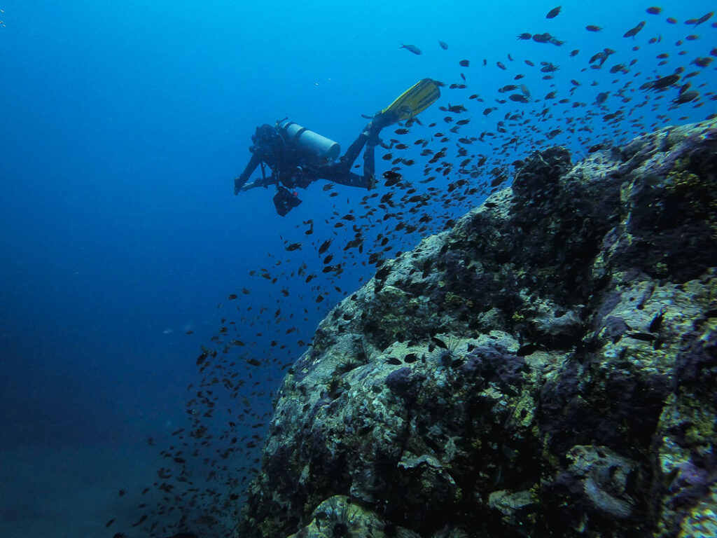 PADI Deep Diver – DAVY JONES LOCKER